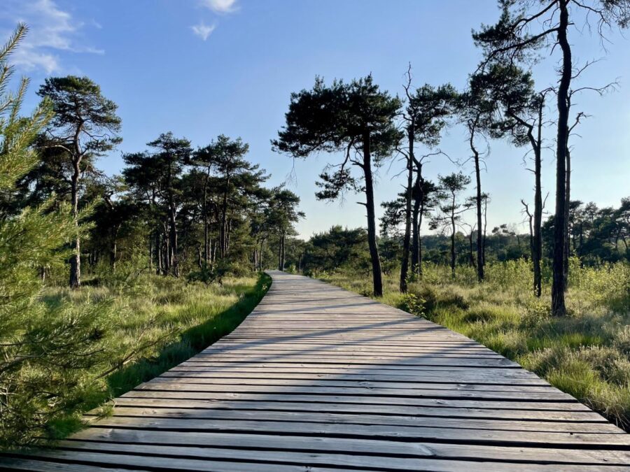 Omgeving - 't Hoogspel